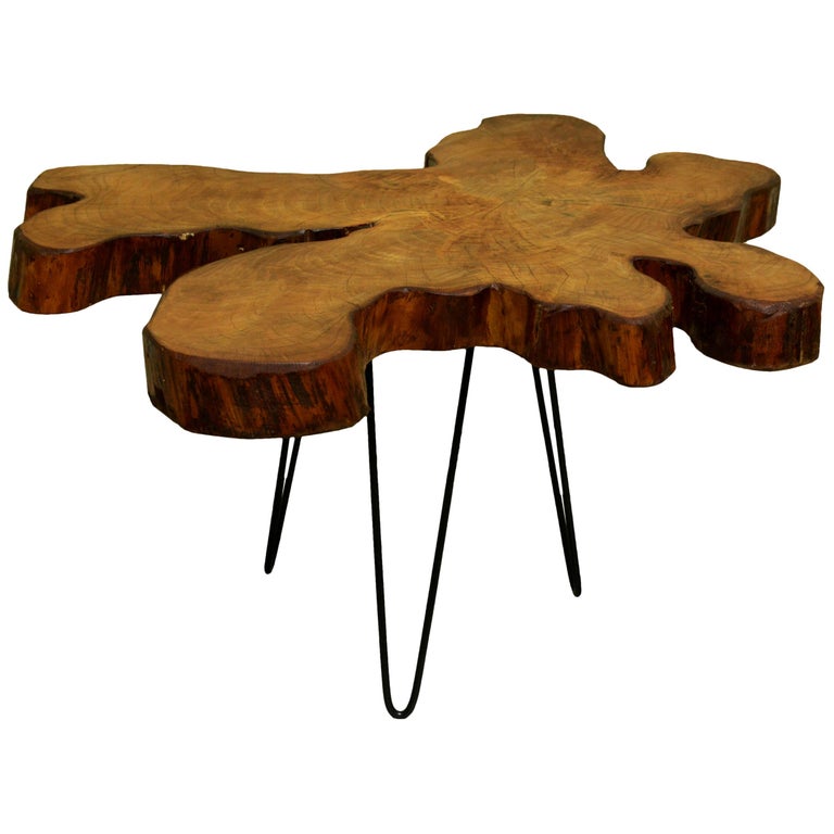 Redwood Tree Live Edge Coffee Table with Hairpin Legs / LECT115 at 1stDibs