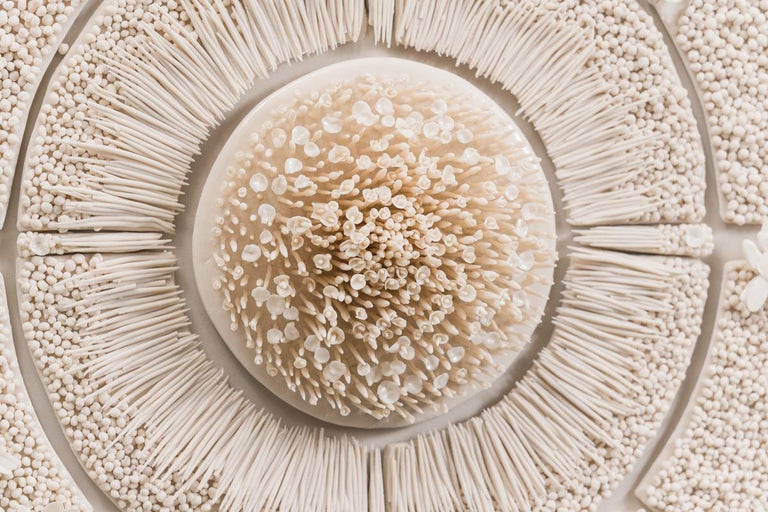 Reflection, US For Sale at 1stDibs