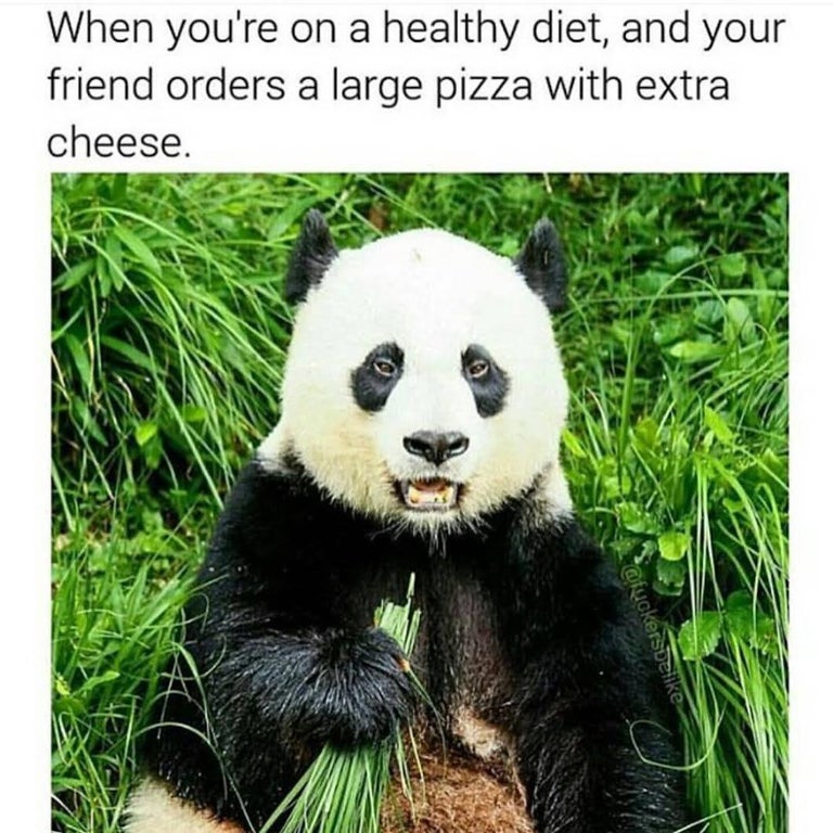 Reform Sulfur Slow 20180313T10:27:45 For Sale at 1stDibs