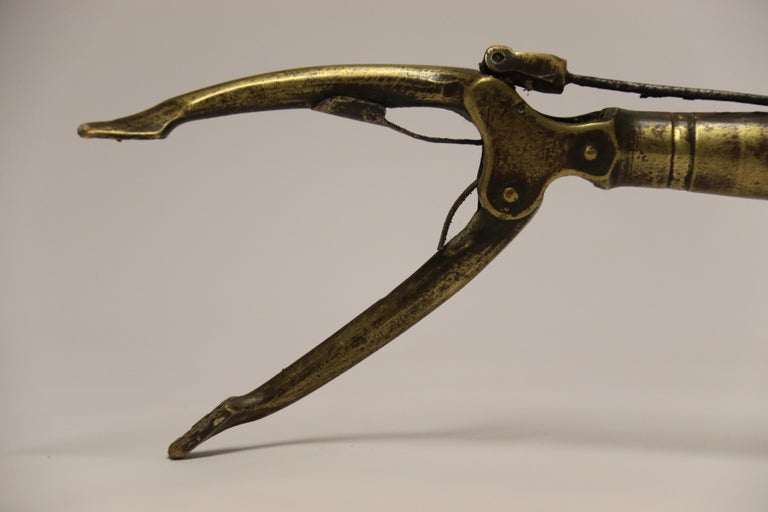 Regency Brass Mounted Country House Library Long Arm or Book Reach ...