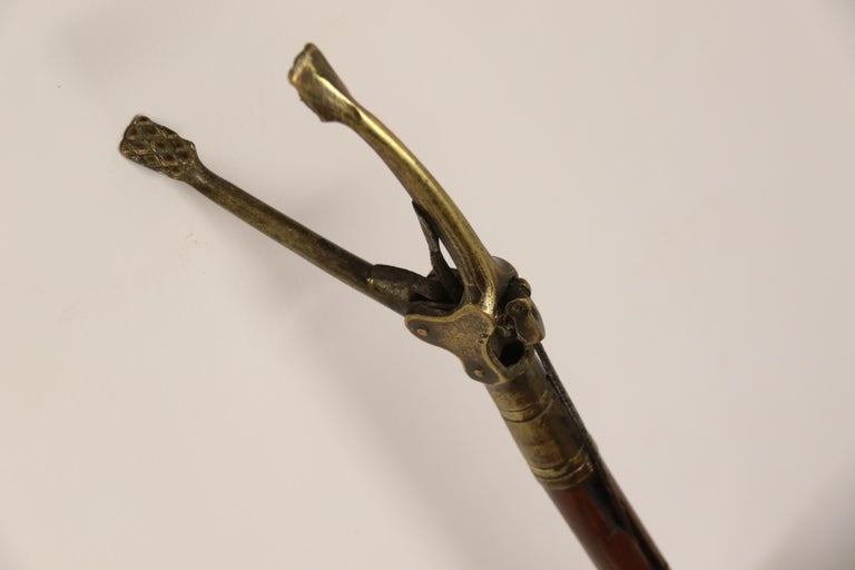 Regency Brass Mounted Country House Library Long Arm or Book Reach ...