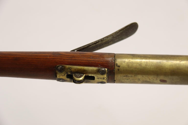 Regency Brass Mounted Country House Library Long Arm or Book Reach ...