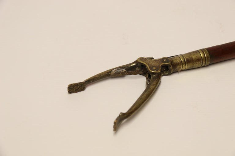 Regency Brass Mounted Country House Library Long Arm or Book Reach ...