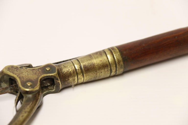 Regency Brass Mounted Country House Library Long Arm or Book Reach ...