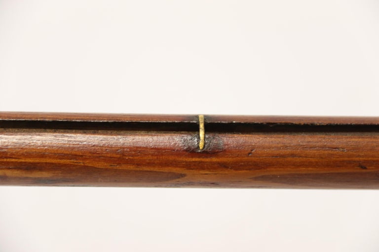 Regency Brass Mounted Country House Library Long Arm or Book Reach ...