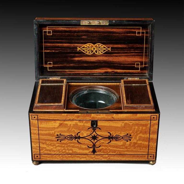 Regency Figured East Indian Satinwood and Ebony Inlaid Tea Caddy at 1stDibs