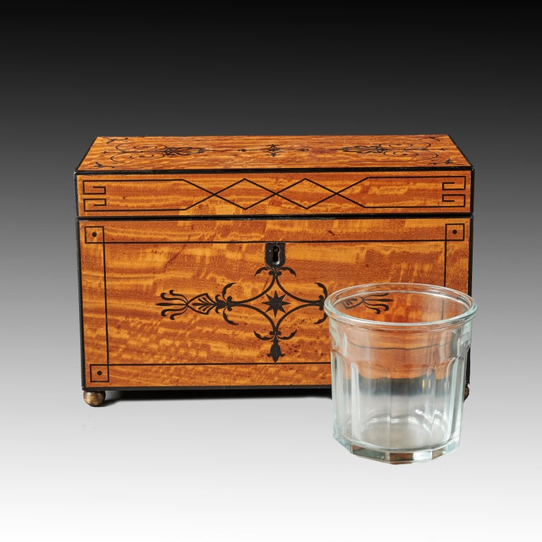 Regency Figured East Indian Satinwood and Ebony Inlaid Tea Caddy at 1stDibs