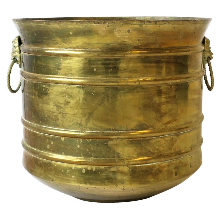 Regency Lionhead Brass Cachepot Jardinière Plant Pot Holder at 1stDibs