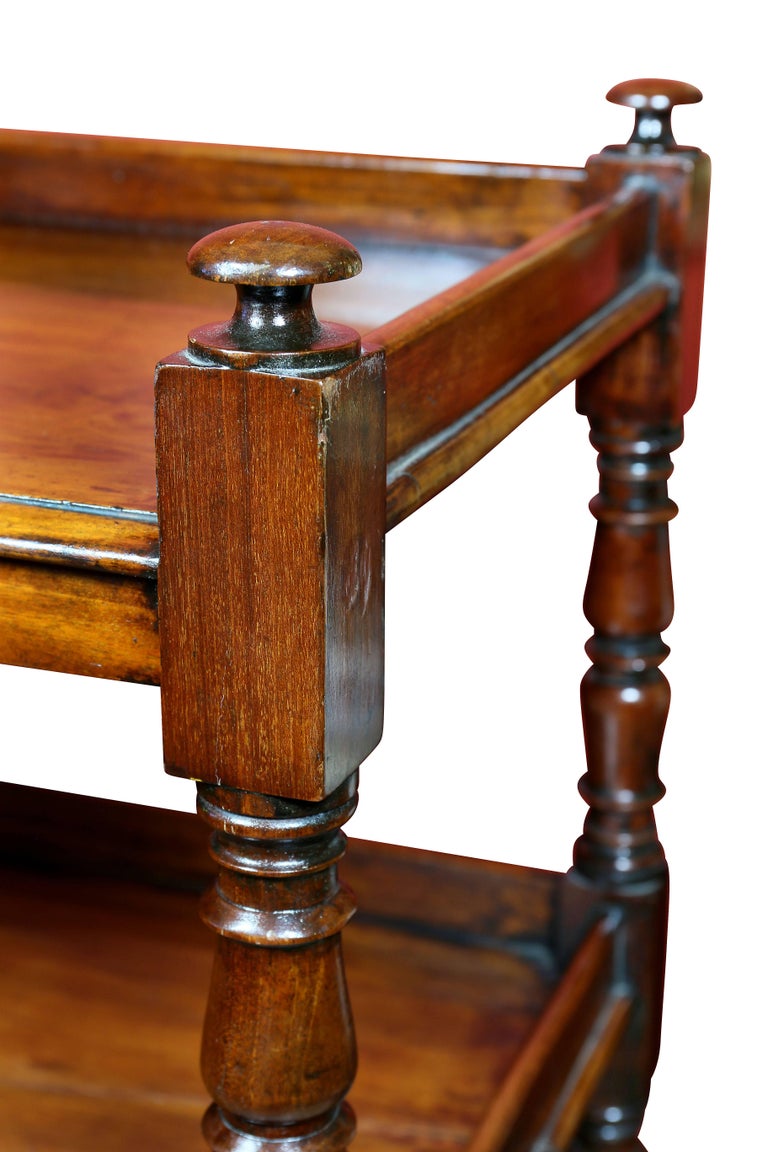 Regency Mahogany Book Trolley at 1stDibs