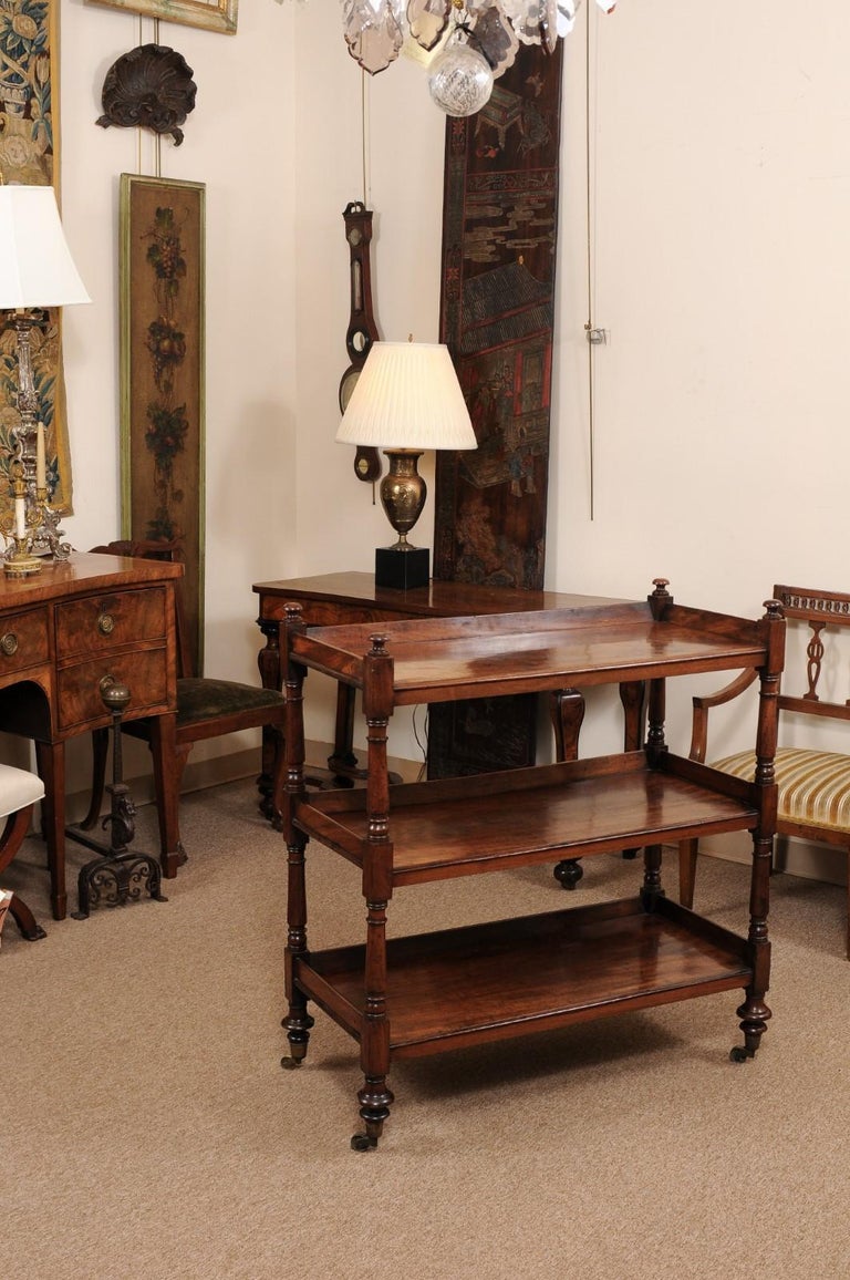 Regency Mahogany English Trolley, Early 19th Century at 1stDibs