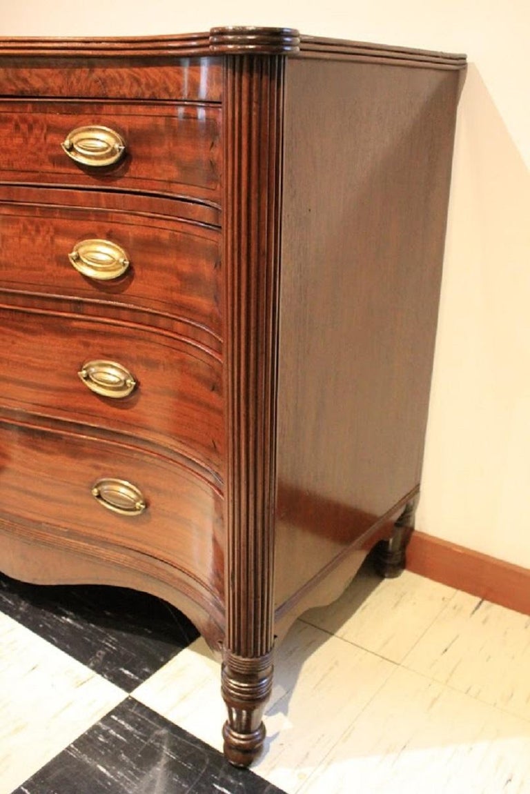 Regency Mahogany Regency Chest of Drawers For Sale at 1stDibs