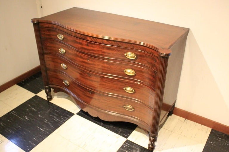 Regency Mahogany Regency Chest of Drawers For Sale at 1stDibs