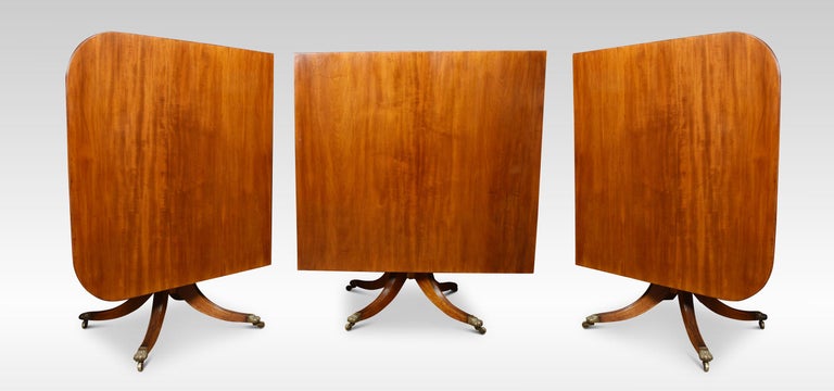 Regency Mahogany Triple Pillar Dining Table For Sale at 1stDibs