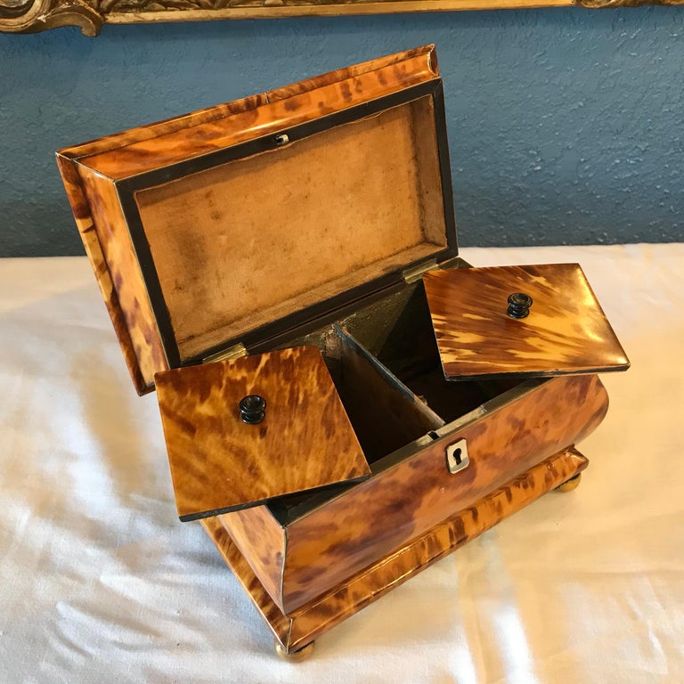 Regency Pagoda Form Tea Caddy at 1stDibs