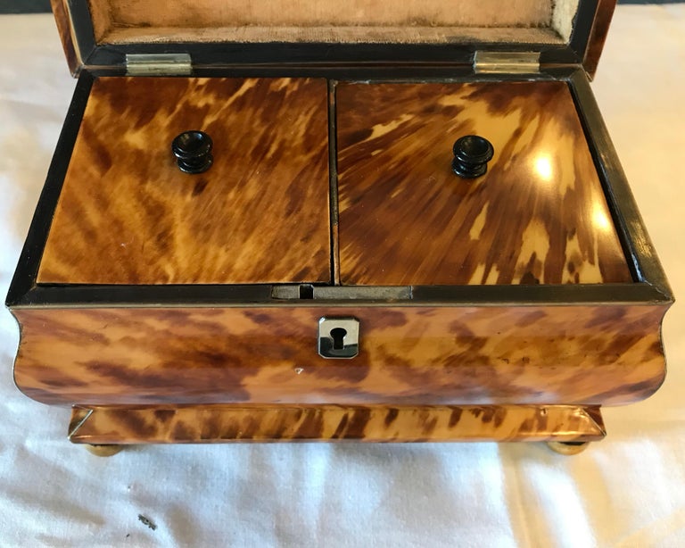 Regency Pagoda Form Tea Caddy at 1stDibs