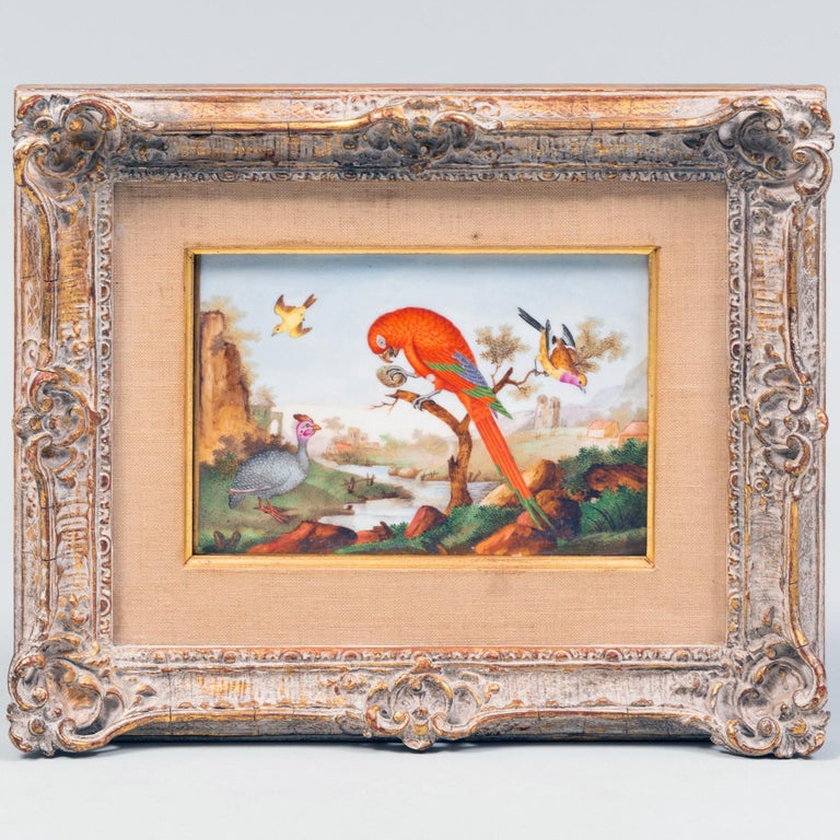 Regency Period English Porcelain Framed Plaques of Parrots For Sale at ...