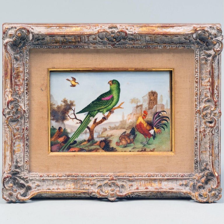 Regency Period English Porcelain Framed Plaques of Parrots For Sale at ...
