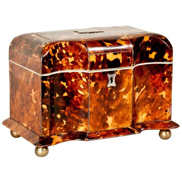Regency Period Tortoiseshell Tea Caddy at 1stDibs | tortoise shell tea ...