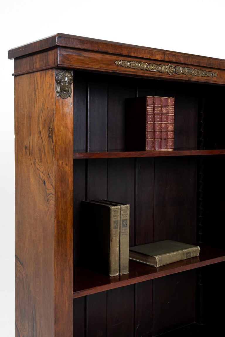 Regency Rosewood Open Bookcase on a Raised Plinth Base, circa 1815 For ...