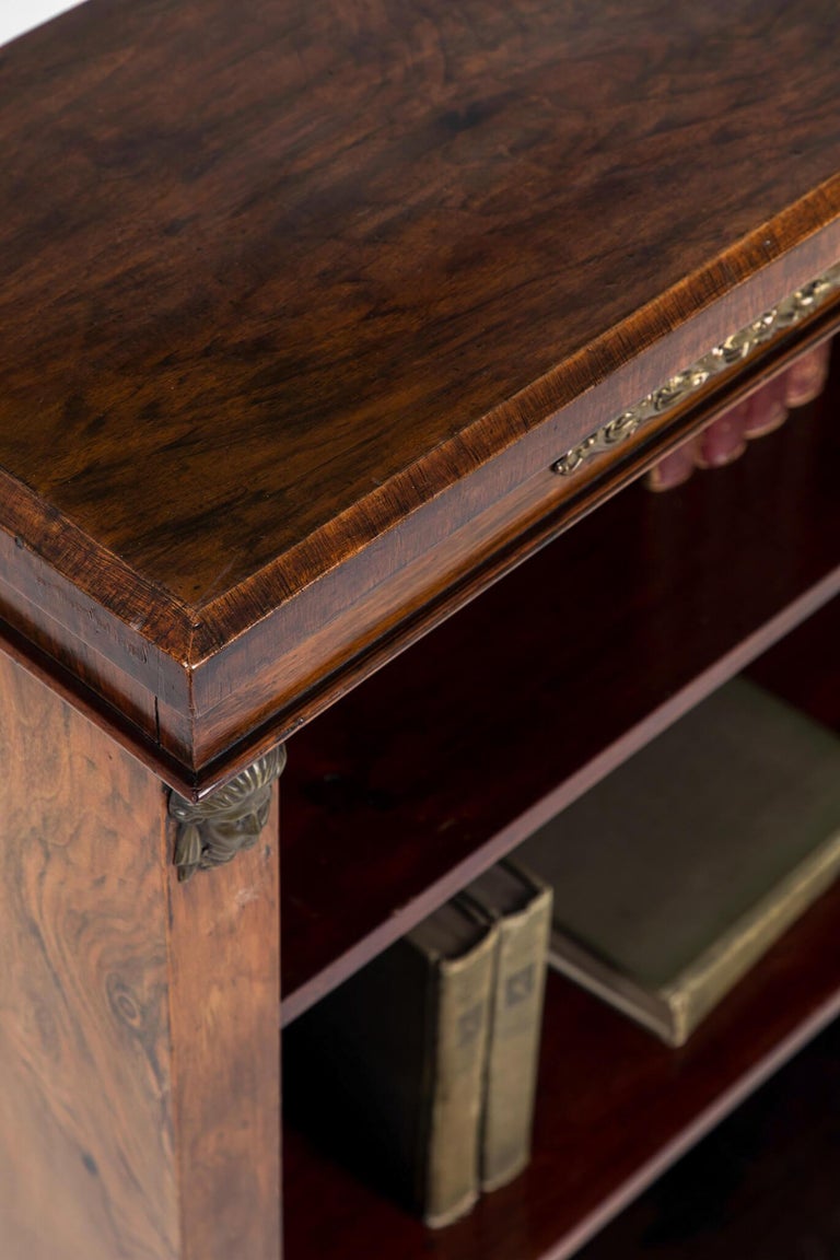Regency Rosewood Open Bookcase on a Raised Plinth Base, circa 1815 For ...