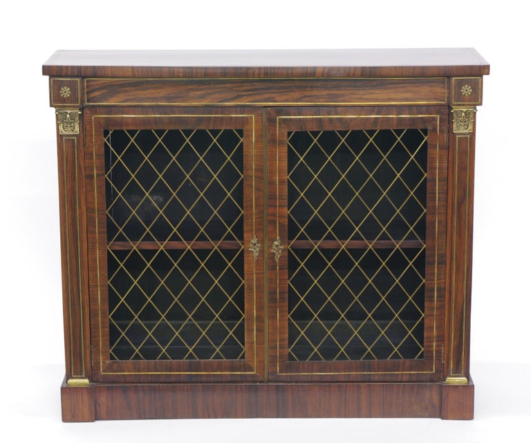Regency Rosewood Side Cabinet, circa 1820 For Sale at 1stDibs