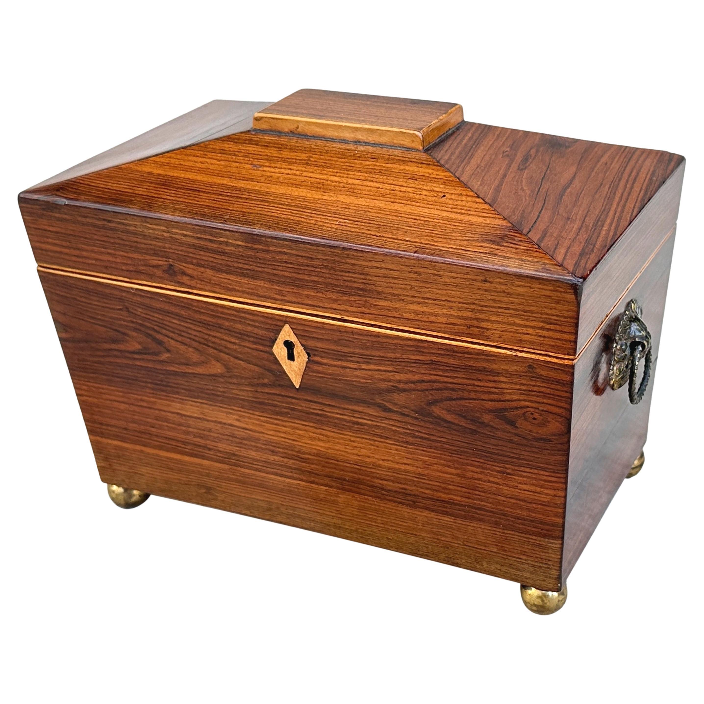 Antique Tea Caddy, English, Rosewood, Chest, Thomas of London, Regency ...