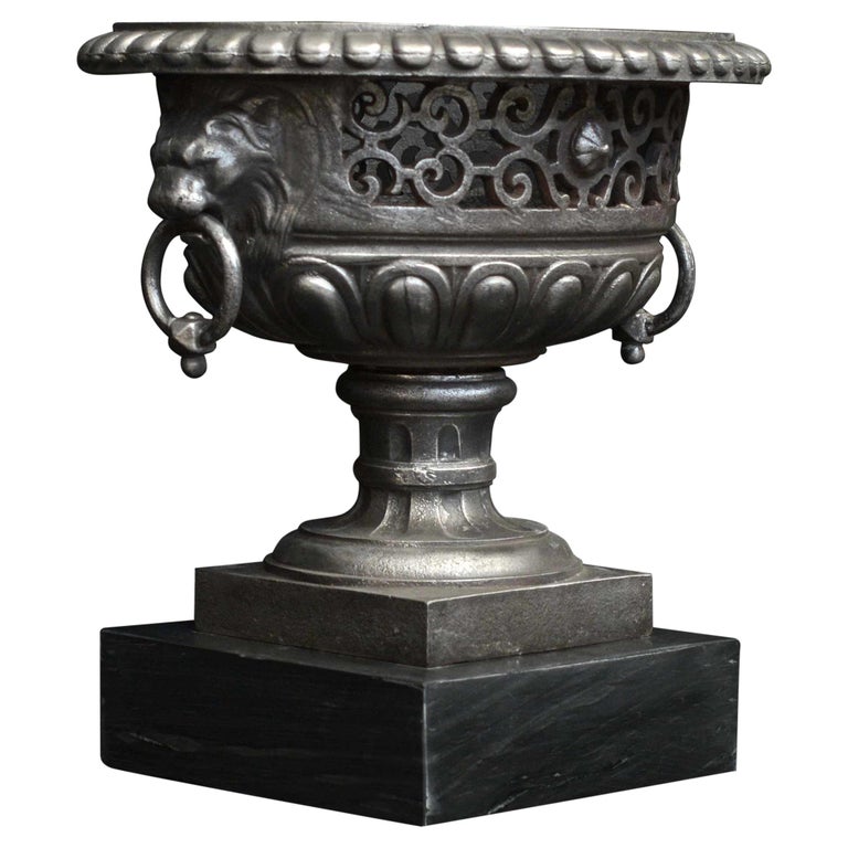 Regency Style Cast Iron Firegrate with Marble Plinth For Sale at ...