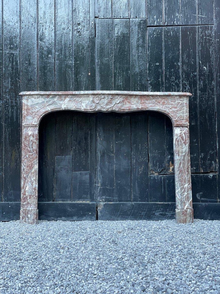 Regency Style Fireplace In Rance Marble Circa 1880 For Sale at 1stDibs