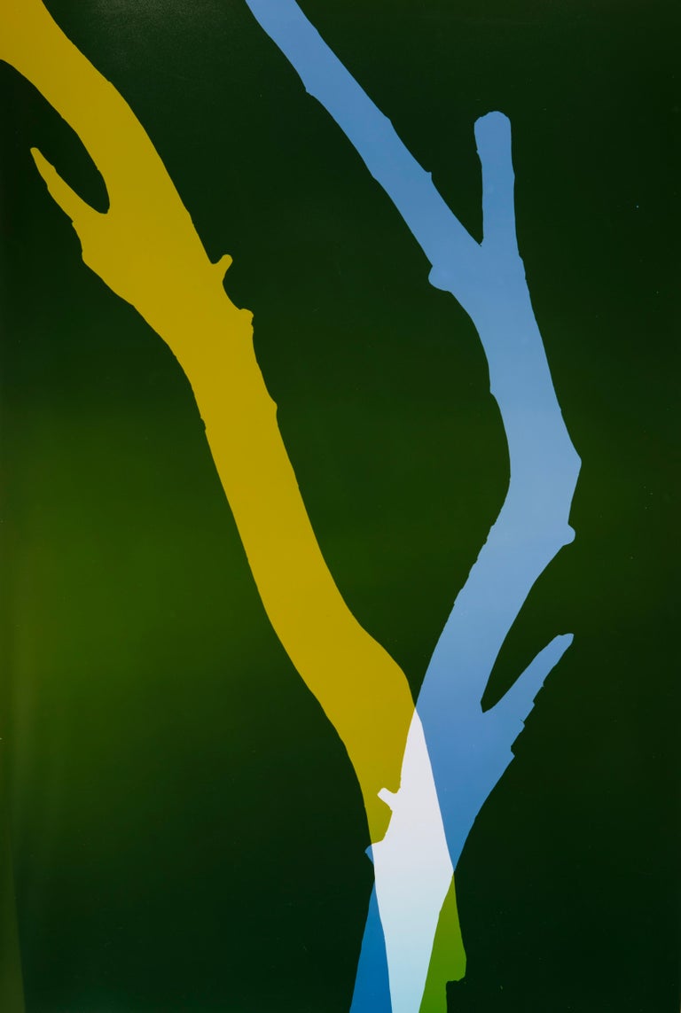 Regina Hügli - Trees (Driftwood, Nr. 15/3) - Green and Turquoise Nature ...