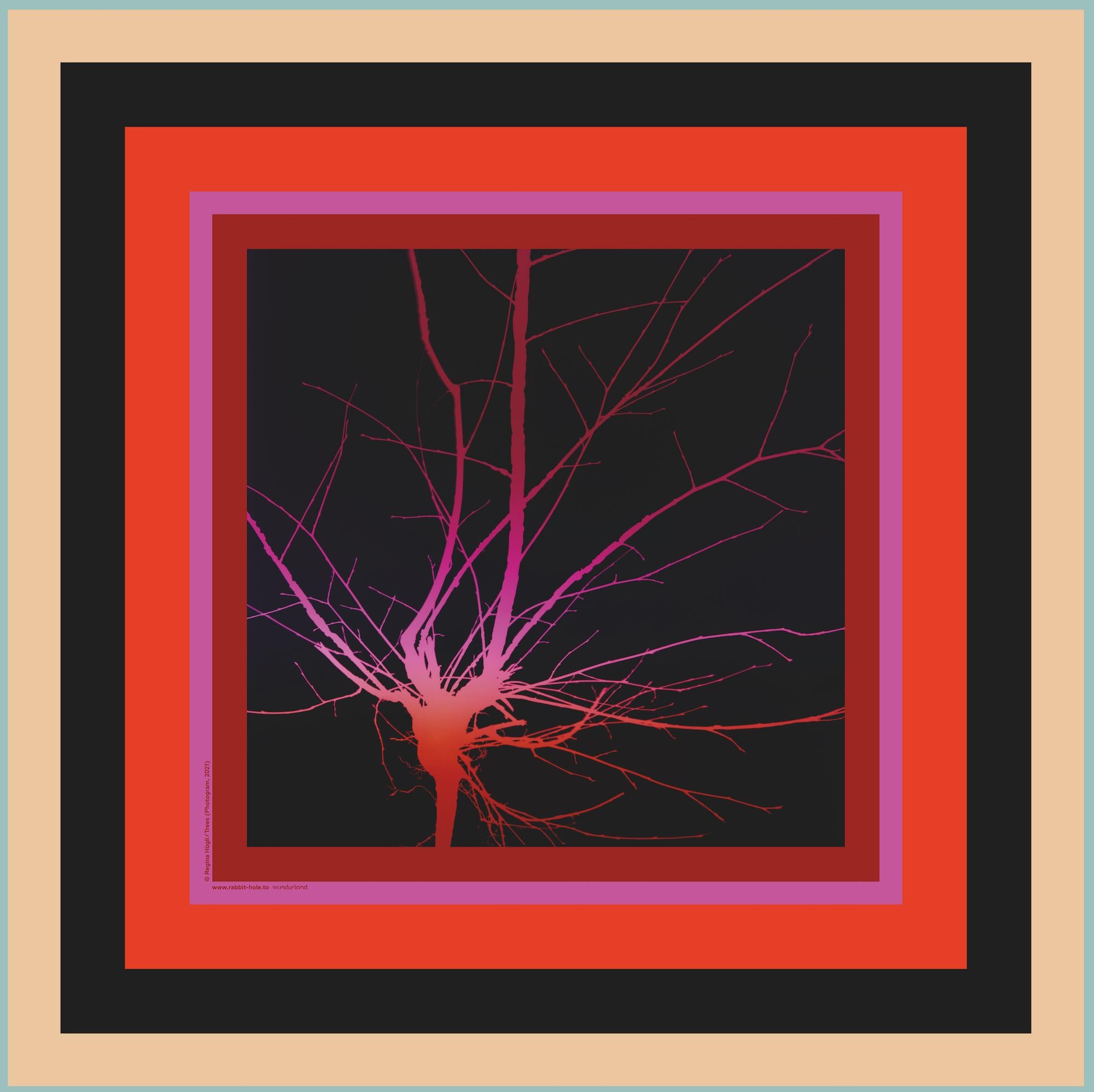 Regina Hügli - Trees (Nr. 6, Clematis) - Green Yellow Red Silk Scarf ...