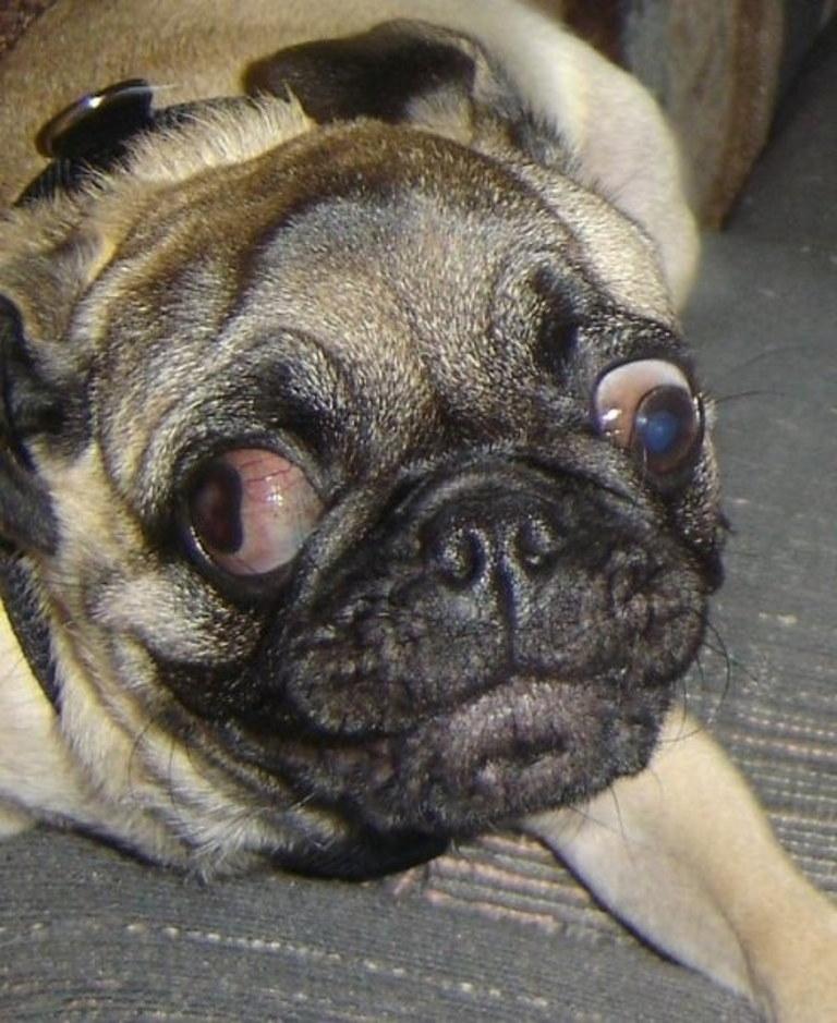 Relax Inca Torch 20221021T21:01:09 For Sale at 1stDibs