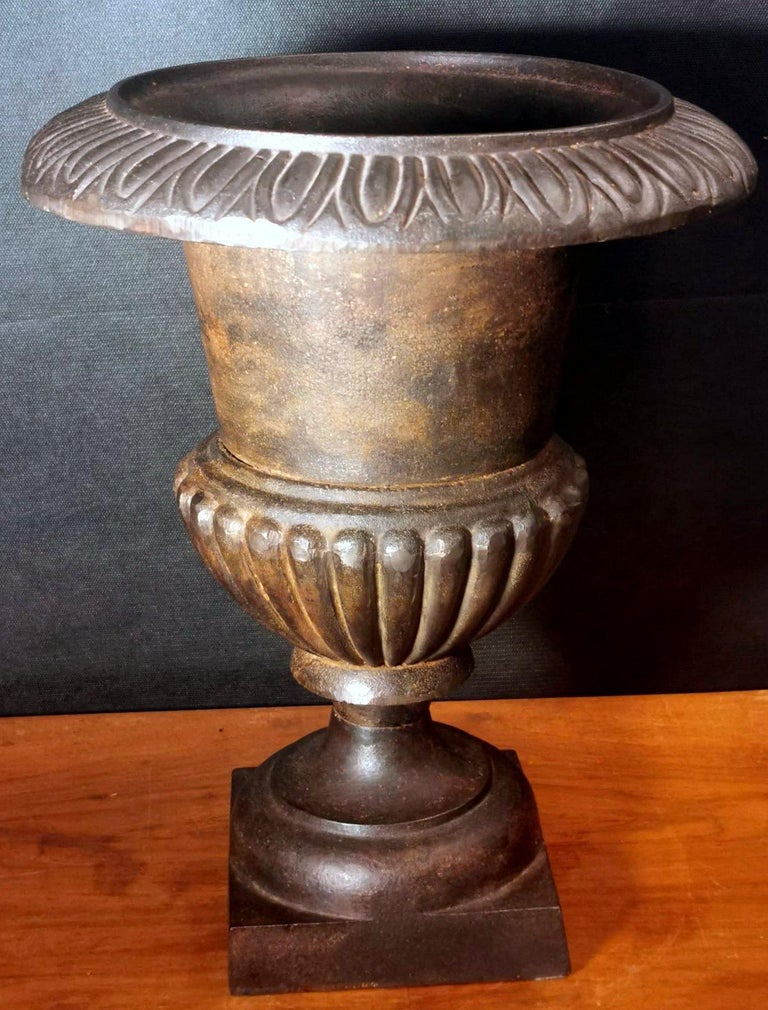 Renaissance Style French Medici Vase in Cast Iron For Sale at 1stDibs