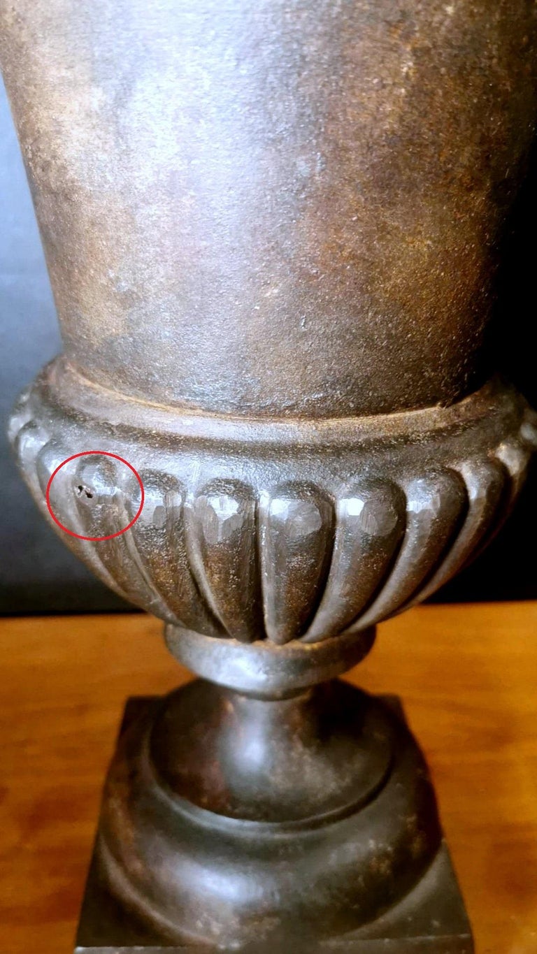 Renaissance Style French Medici Vase in Cast Iron For Sale at 1stDibs