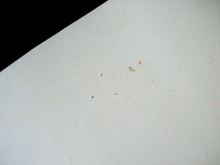 Renaissance Style Sanguine and Watercolor Drawing, Signed, Italy, 20th ...