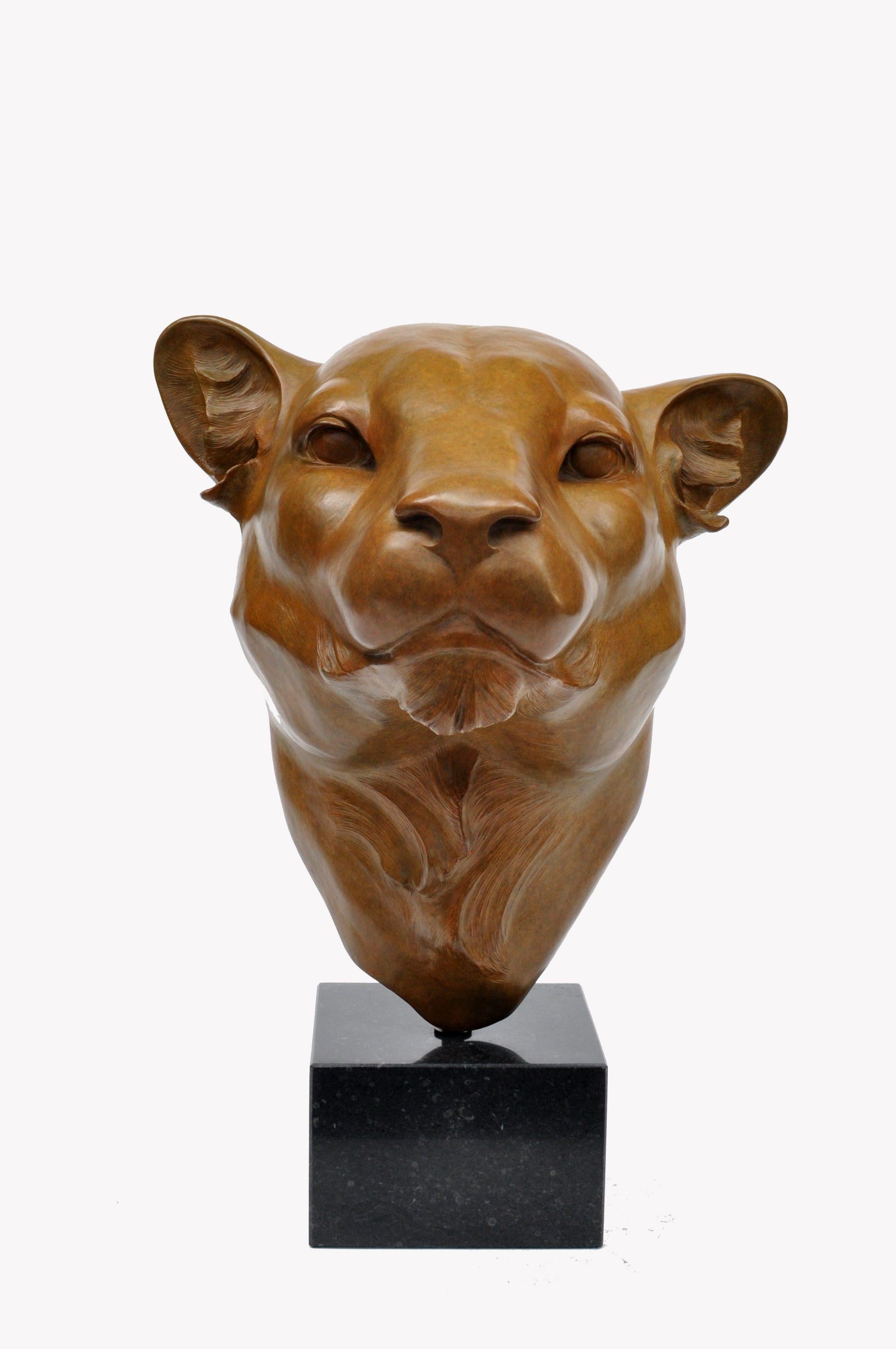 Renée Marcus Janssen - Orion Leopard Bronze Sculpture Animal Panthera ...