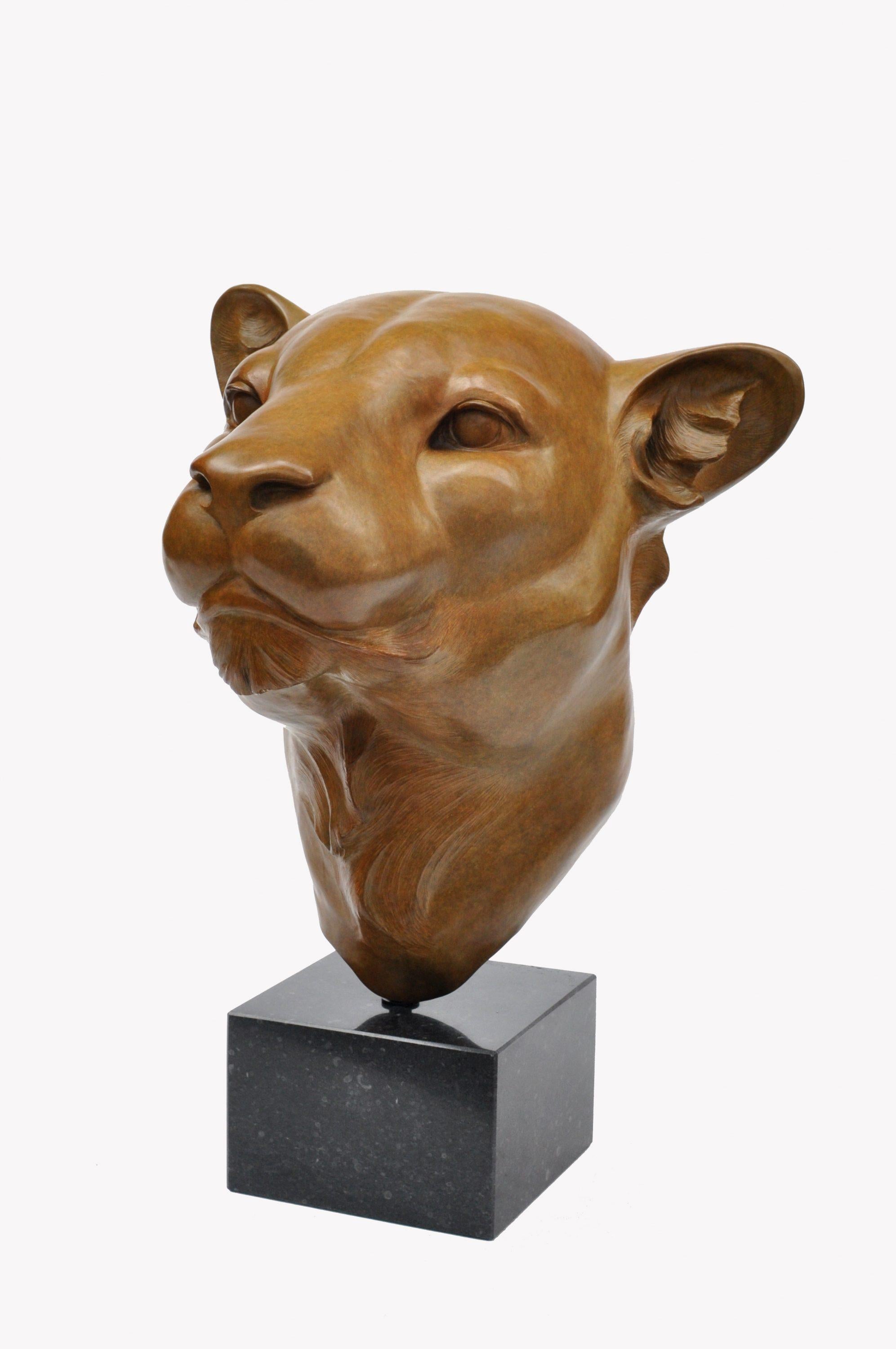 Renée Marcus Janssen - Orion Leopard Bronze Sculpture Animal Panthera ...