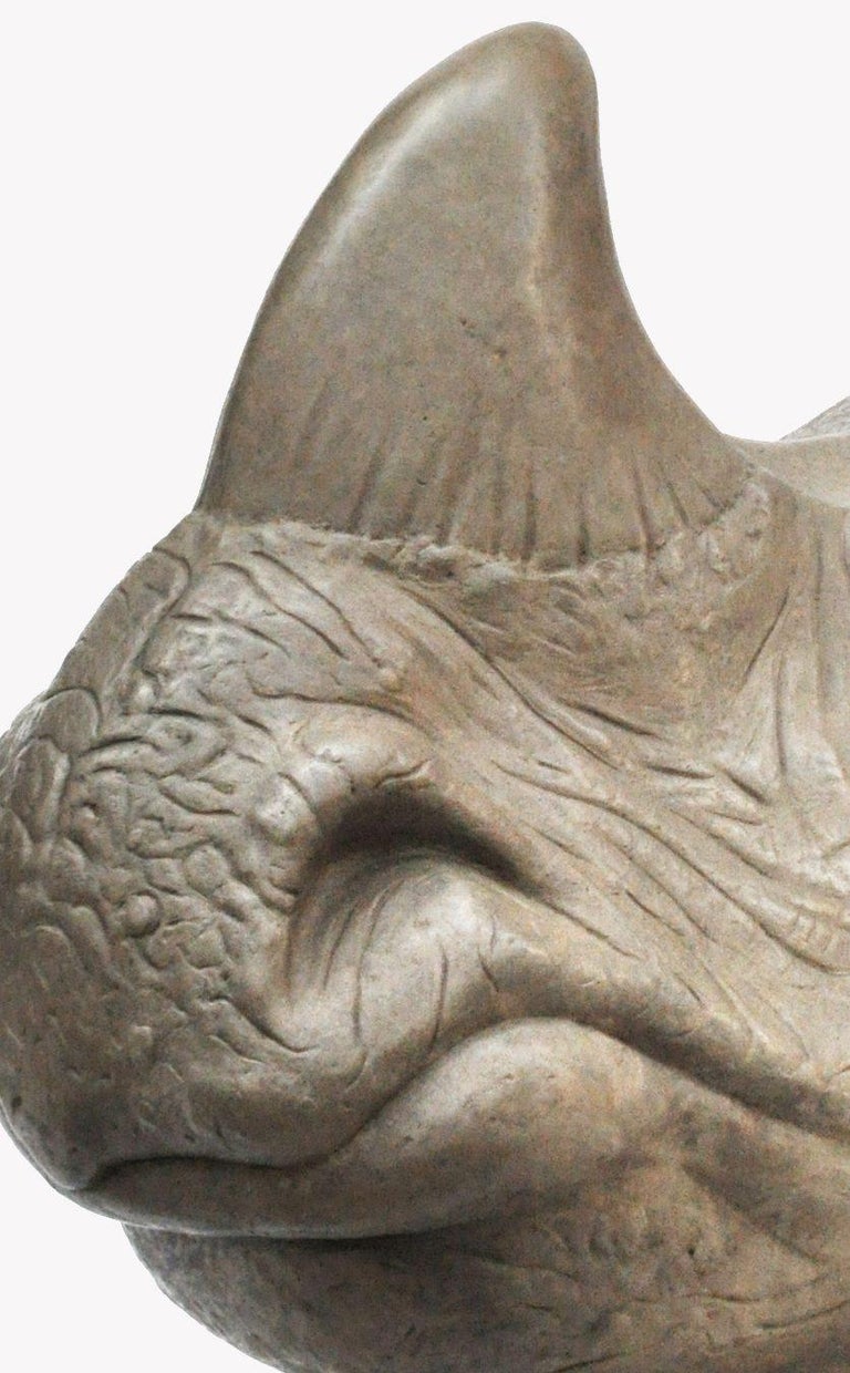Renée Marcus Janssen - Boaz Indian Rhino Bronze Sculpture Rhinoceros ...