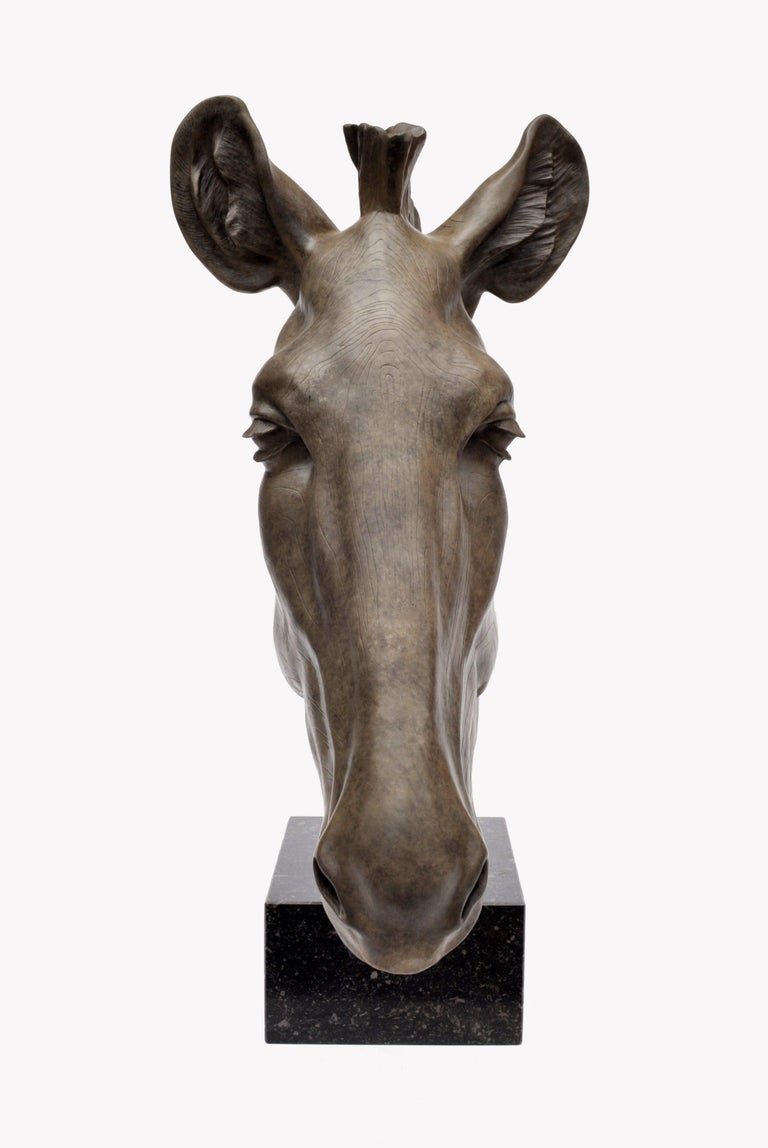 Renée Marcus Janssen - Seth Grévy Zebra Bronze Sculpture Animal Equus ...