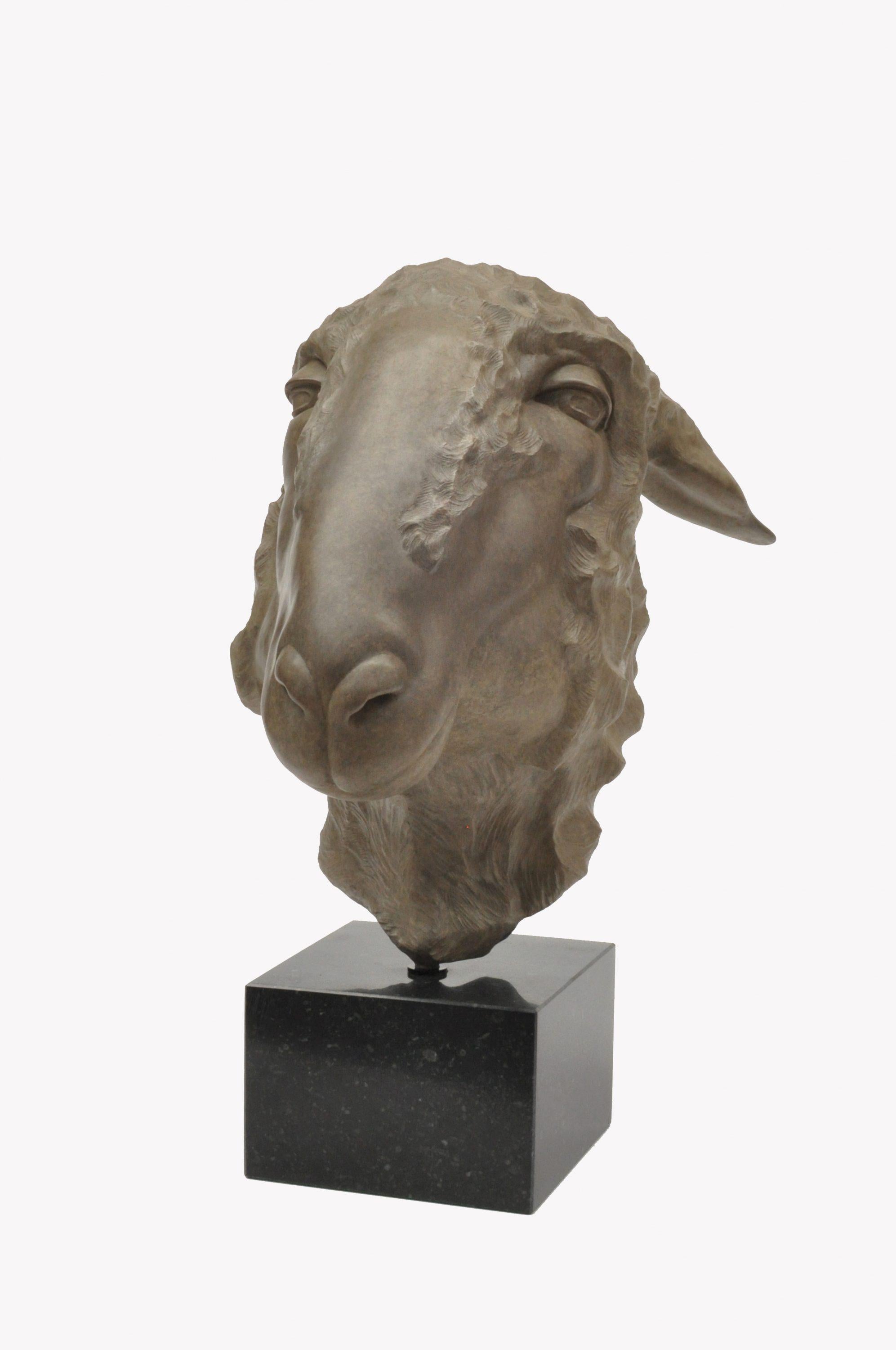 Renée Marcus Janssen - Max Poitu Donkey Bronze Sculpture Animal Equus ...
