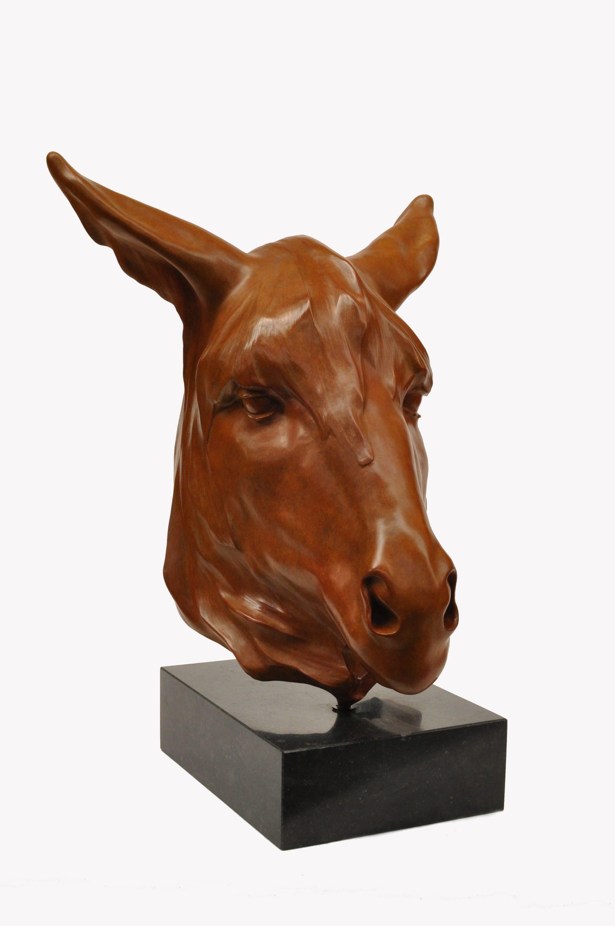 Renée Marcus Janssen - Max Poitu Donkey Bronze Sculpture Animal Equus ...