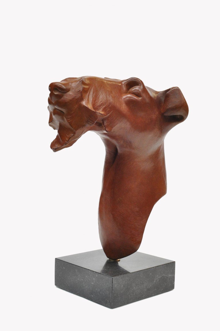 Renée Marcus Janssen - Sculpture en bronze d'animal d'art féminin en ...