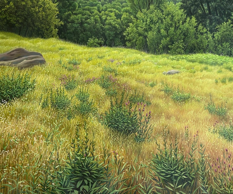 René Monzón Relova “Pozas” - Unpredictable Valley - Highly Detailed ...