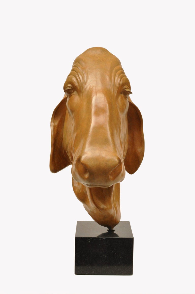 Renee Marcus Janssen - Dhana Brahman Cow Asian Bronze Sculpture Bos ...