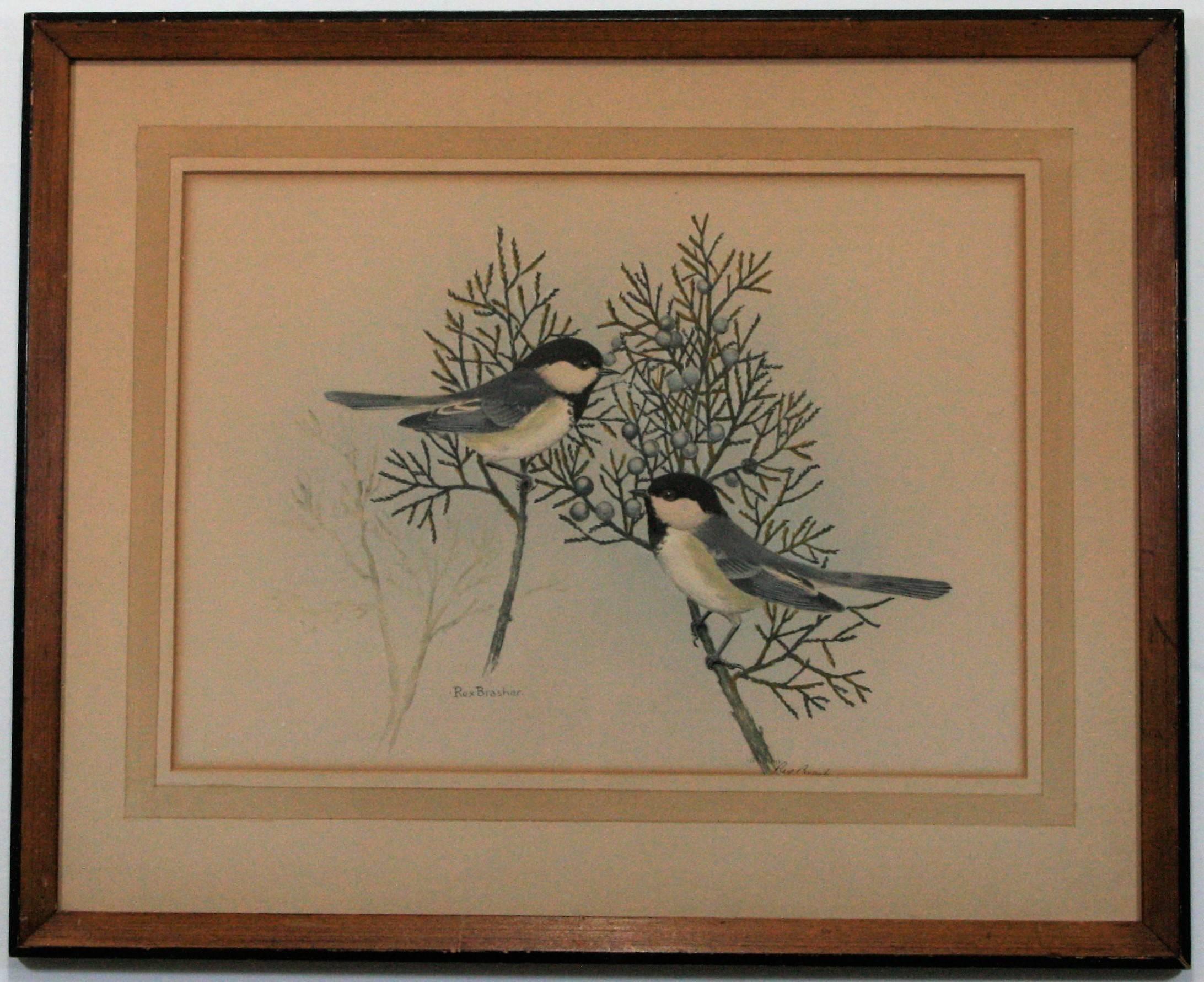 Rex Brasher - Chickadee and Long-tailed Chickadee For Sale at 1stDibs
