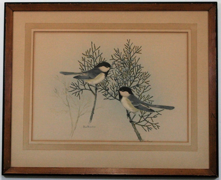 Rex Brasher - Chickadee and Long-tailed Chickadee For Sale at 1stDibs