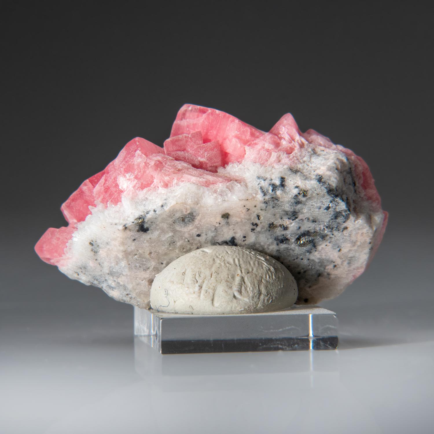 Rhodochrosite from Sweet Home Mine, Alma District, Park County ...