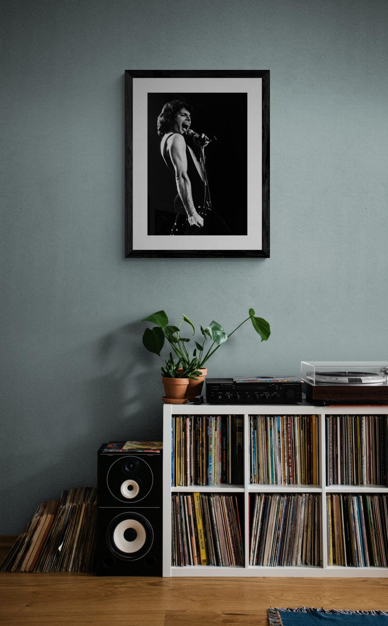 Richard E. Aaron - Queen #12 Photo For Sale at 1stDibs