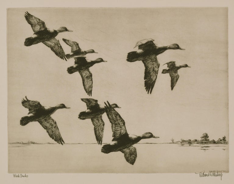 Richard E. Bishop - Black Ducks For Sale at 1stDibs