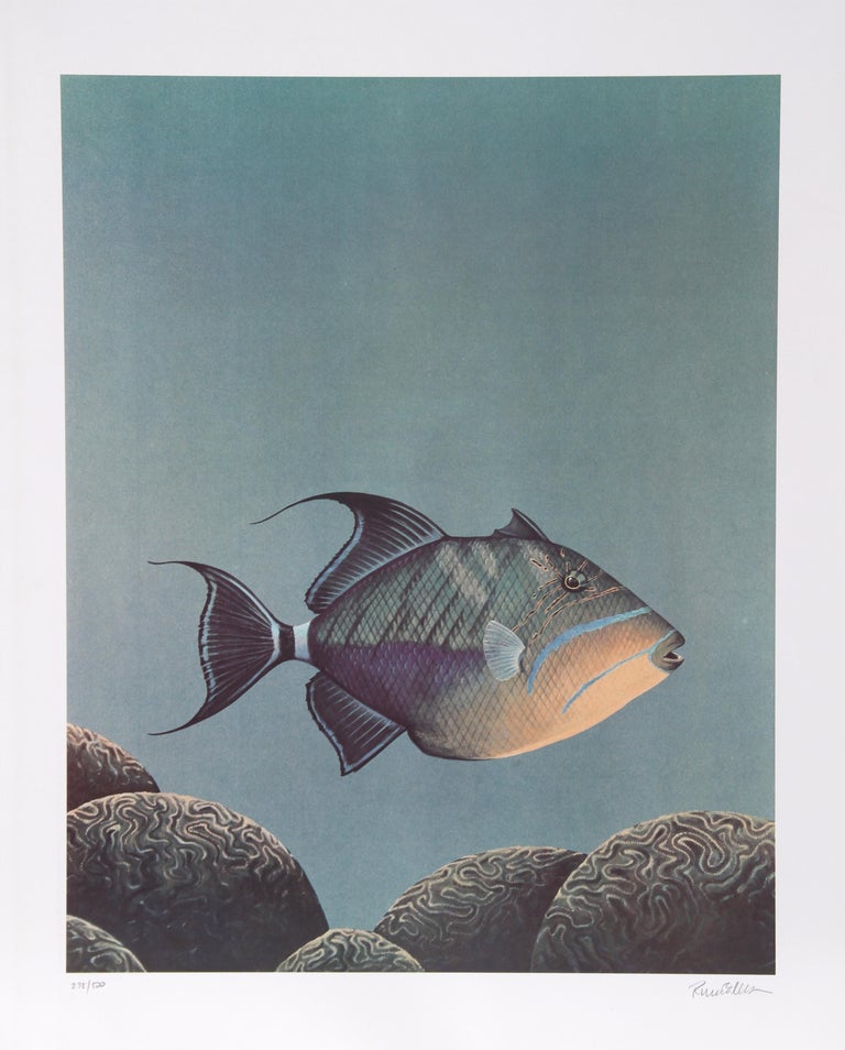 Richard Ellis - Trigger Fish For Sale at 1stDibs