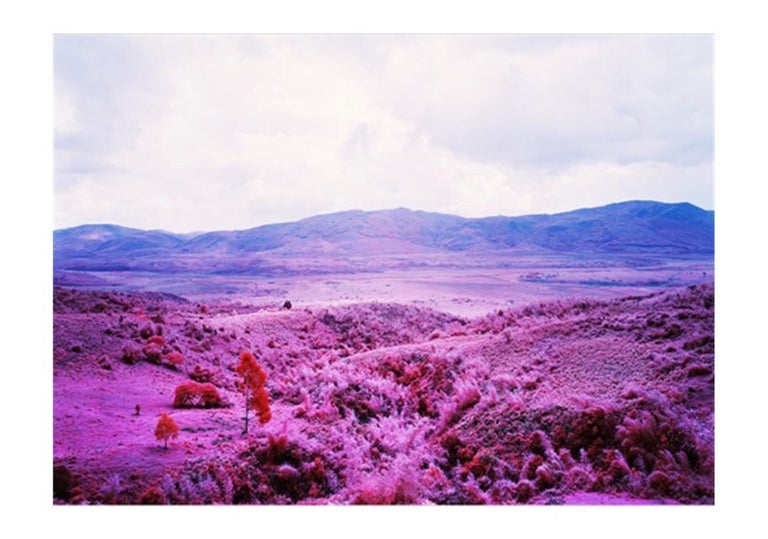 Richard Mosse - Quiet Storm (Infra series) For Sale at 1stDibs